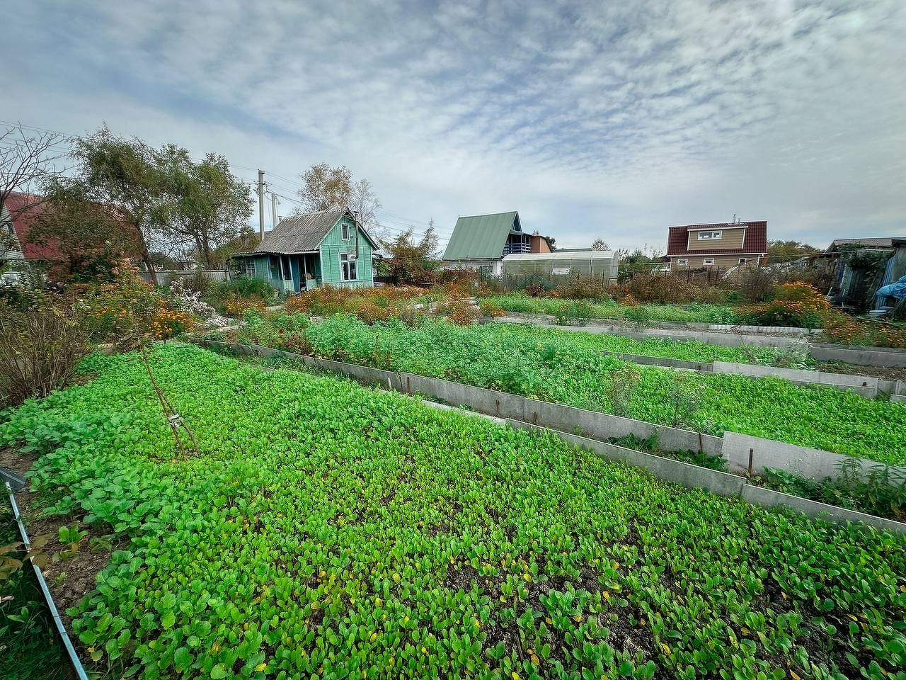 ᐉ Покупка дачи, 6 сот., 20 м2, 10041969, Владивосток - покупка