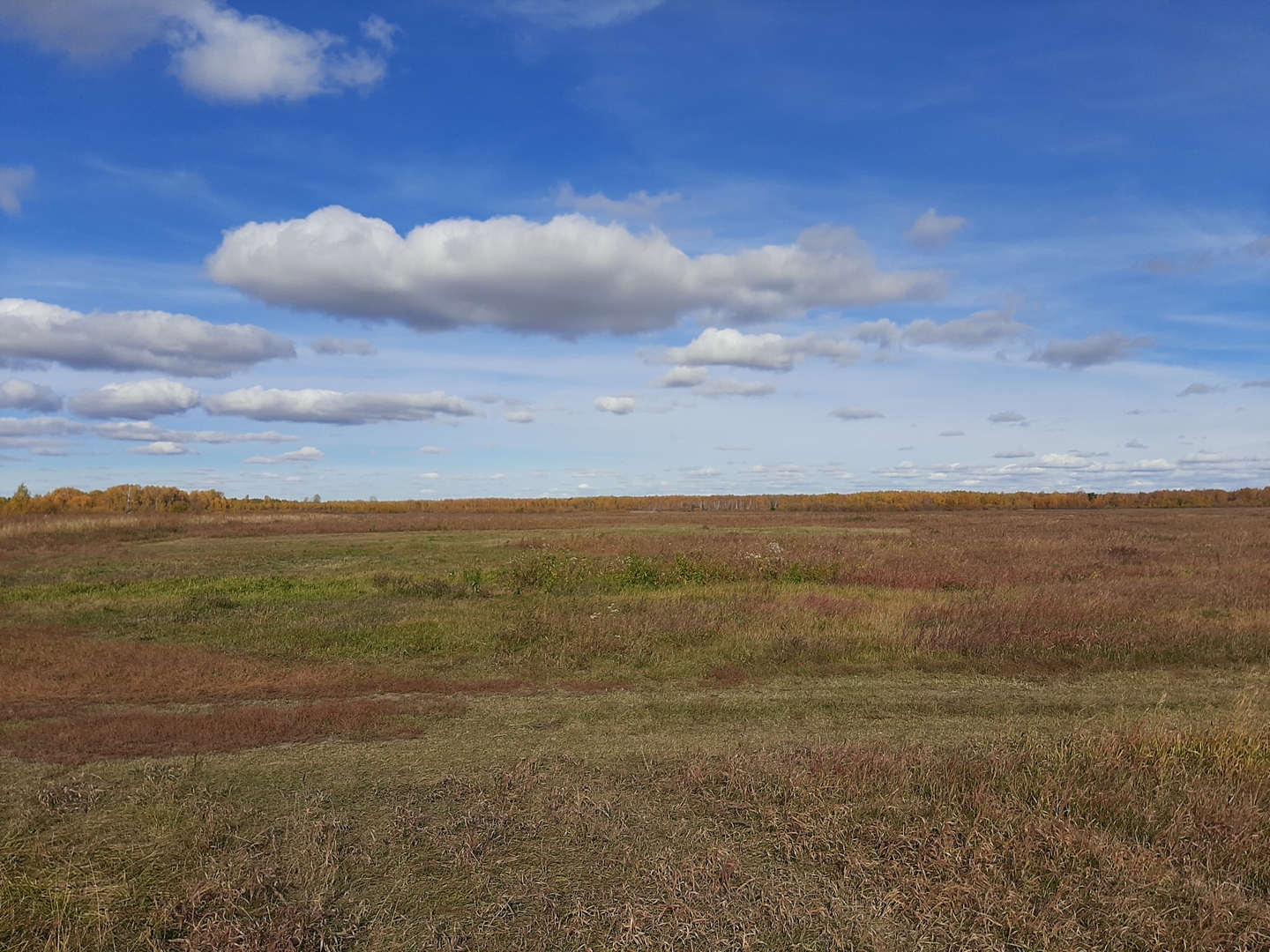 Купить земельный участок в Тюмени, 1705158